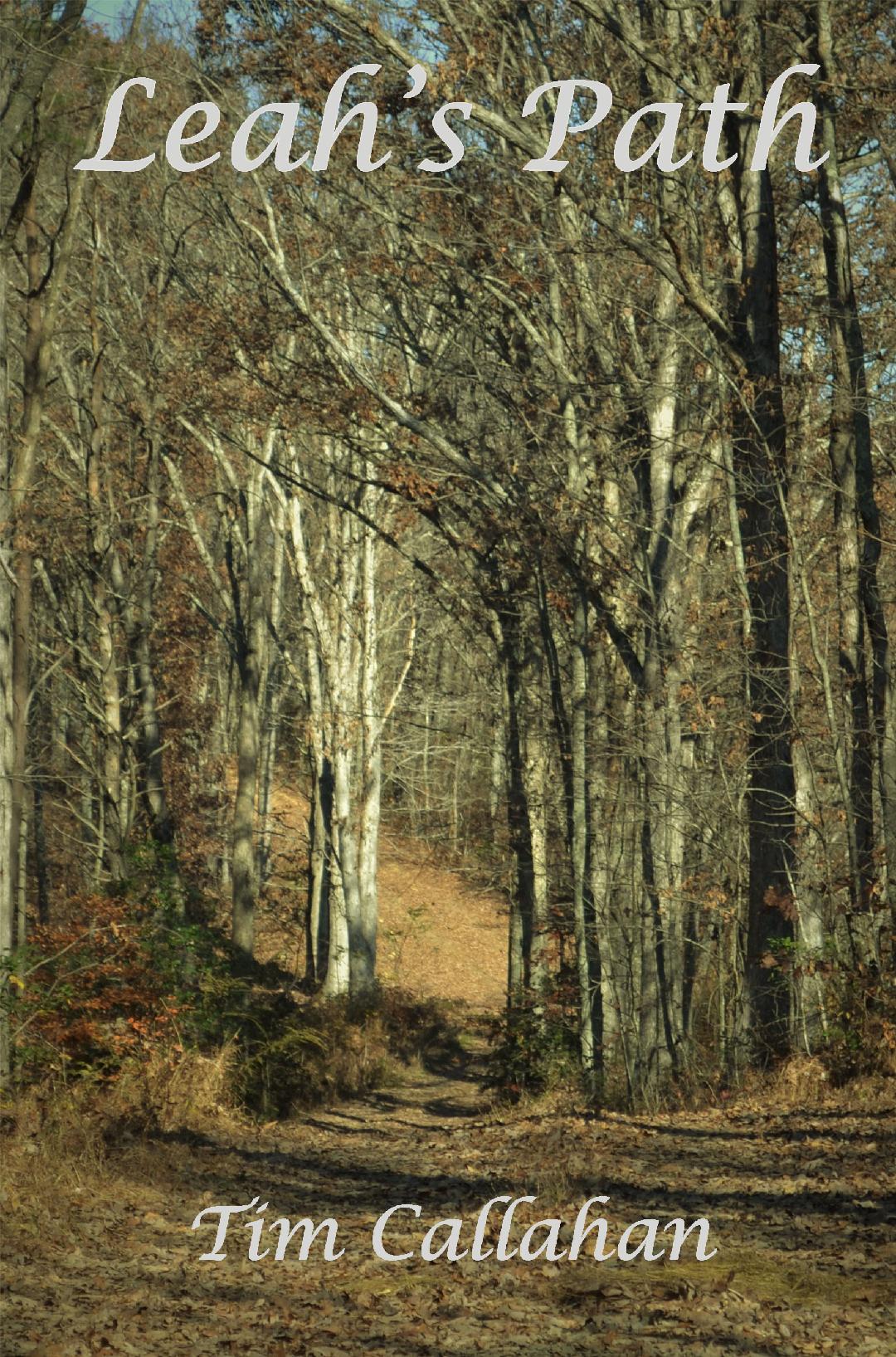 Tim Callahan, Author of Kentucky Summers Series