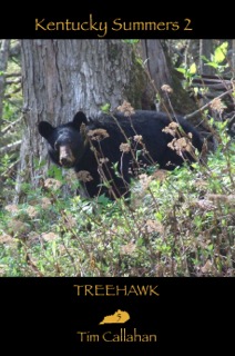 Tim Callahan, Author of Kentucky Summers Series